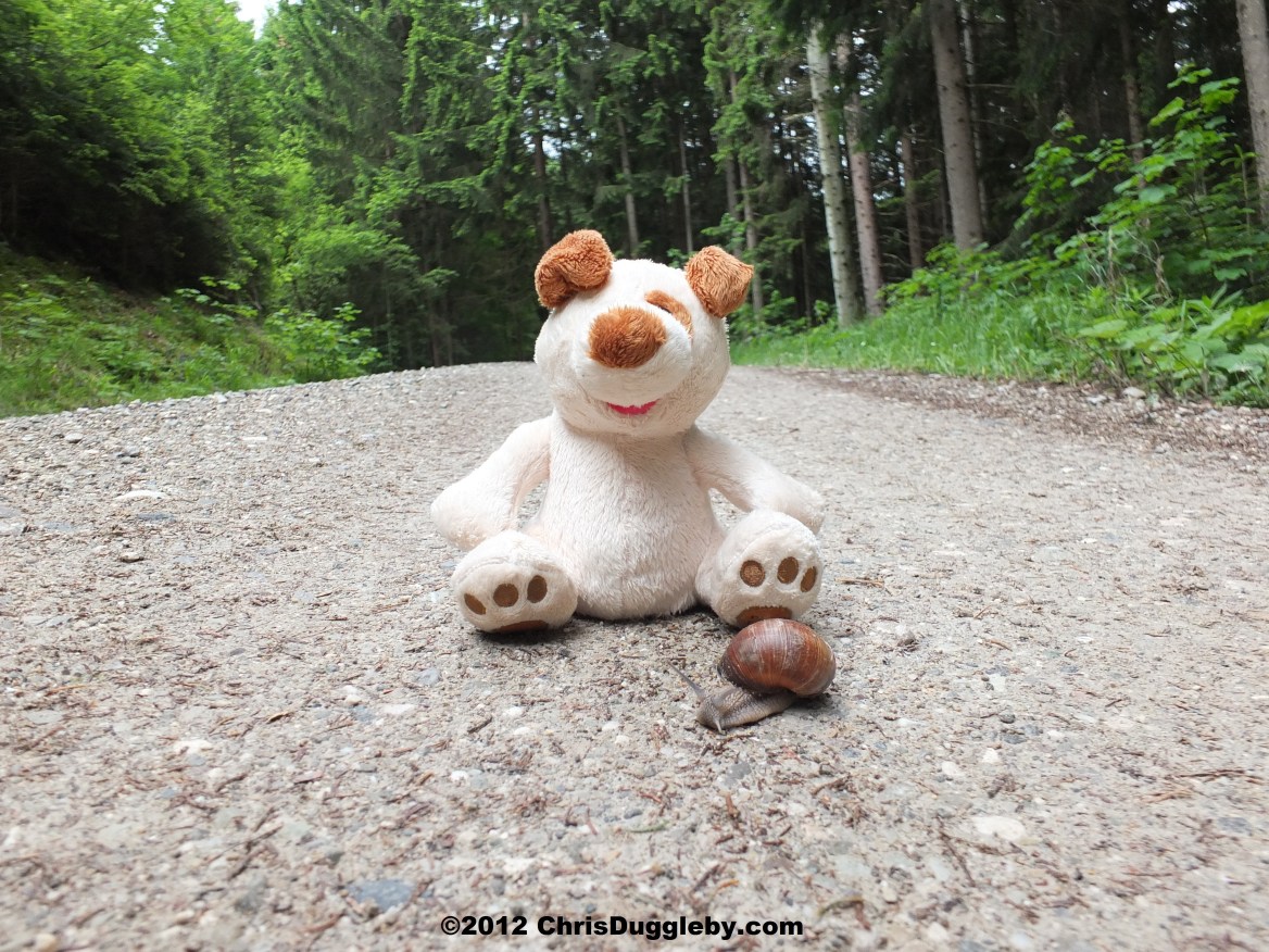 Alpine Salamanders and Snails (alias Sally-Manda and You-Sayin Bolt ...