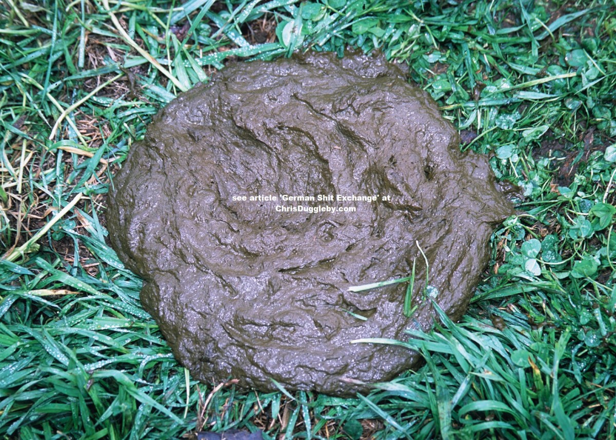 The German Shit Exchange – A Green Economy Innovation | Chris Duggleby